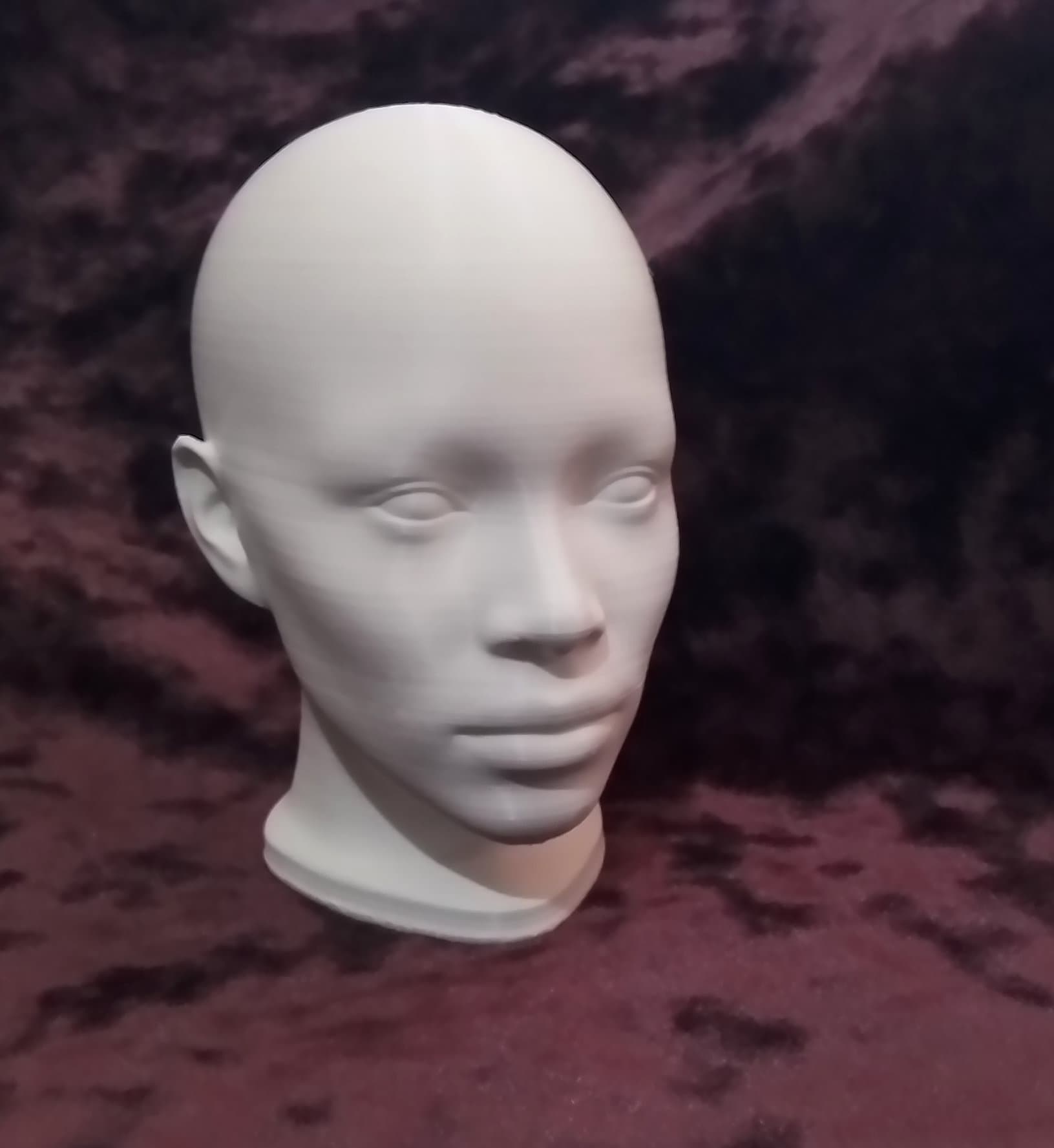 Realistic African Feminine Head 3D Print Female Head Beautiful Ornament ...