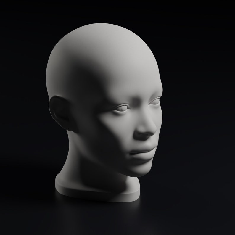 Realistic African Feminine Head 3D Print Female Head Beautiful Ornament ...