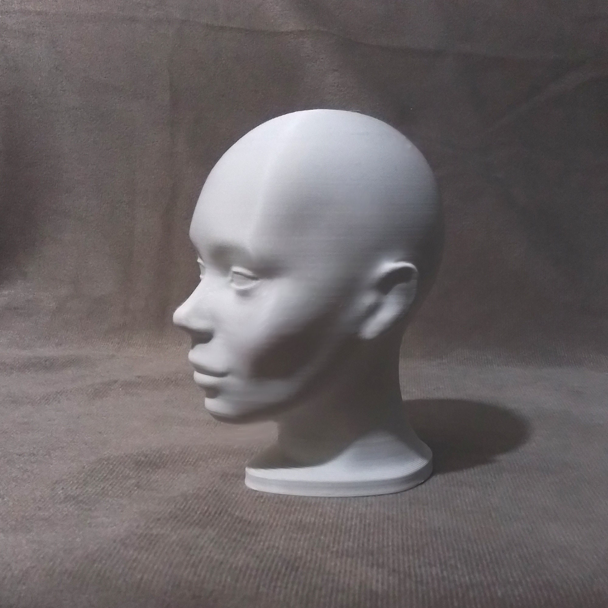 25cm Realistic Planar Head 3D Print Female Head Beautiful Ornament ...