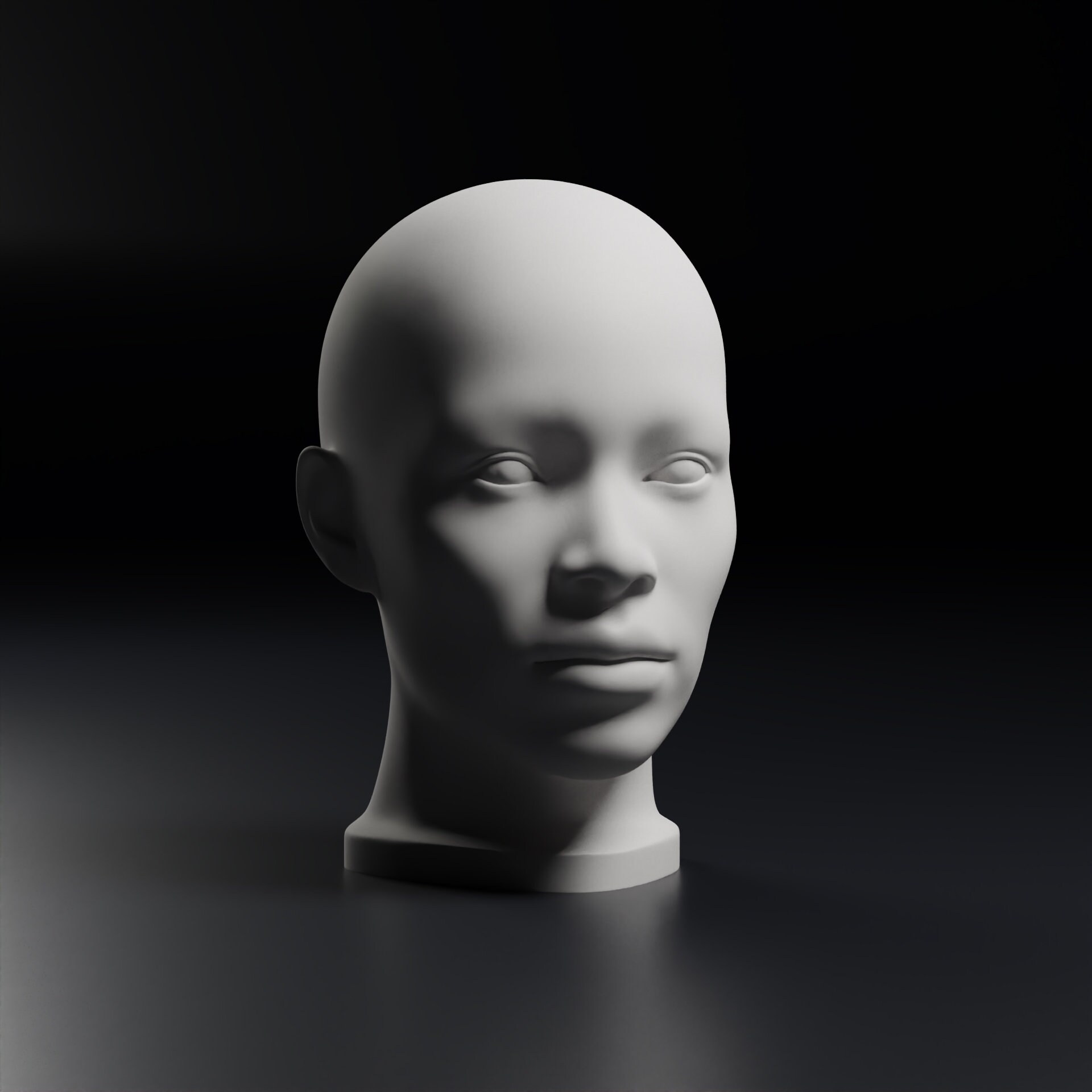 Realistic African Feminine Head 3D Print Female Head Beautiful Ornament ...