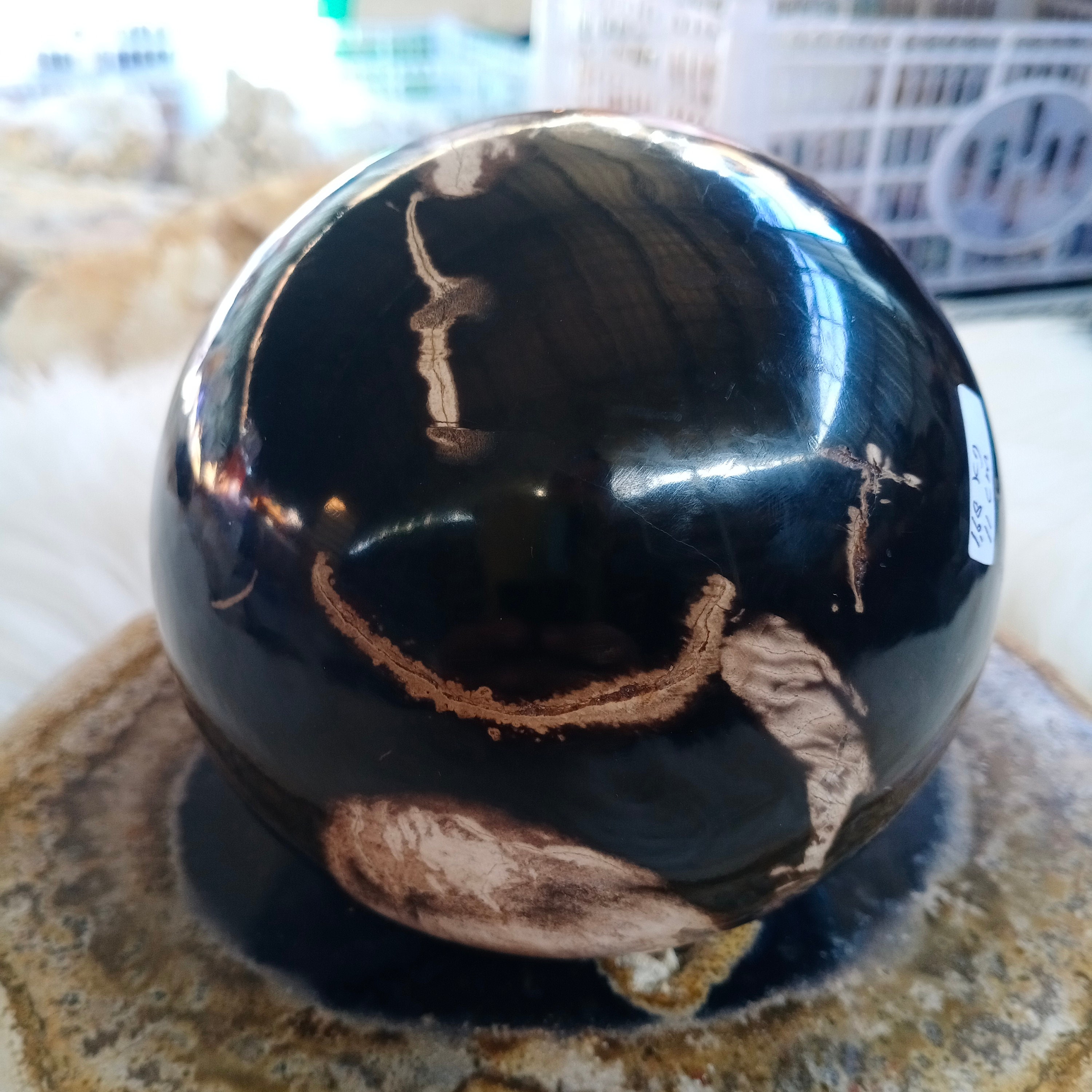 1680 Gr 110 Mm Natural Petrified Palm Root Agate Stone Quartz - Etsy