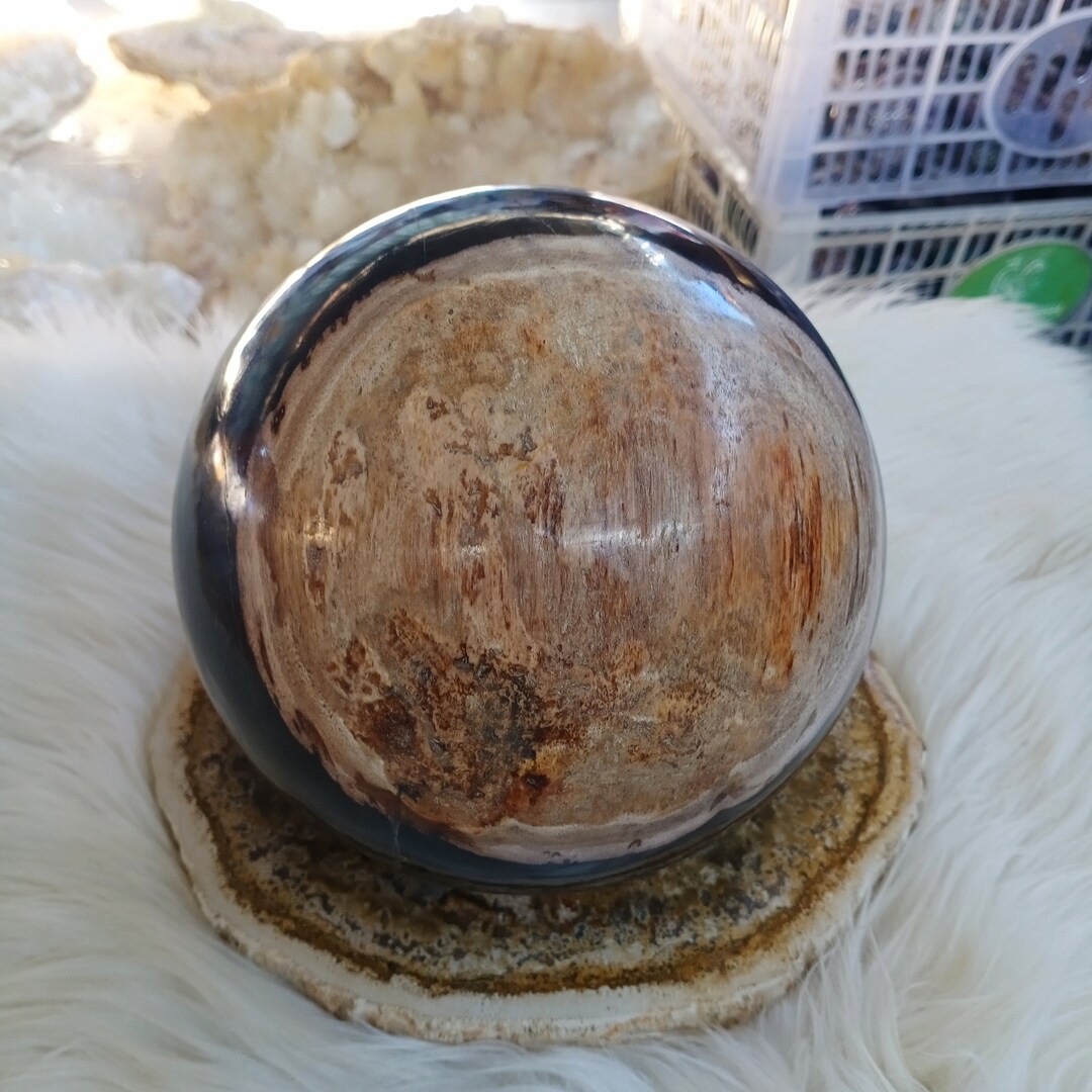 4000 Gr 150 Mm Natural Petrified Palm Root Agate Stone Quartz - Etsy