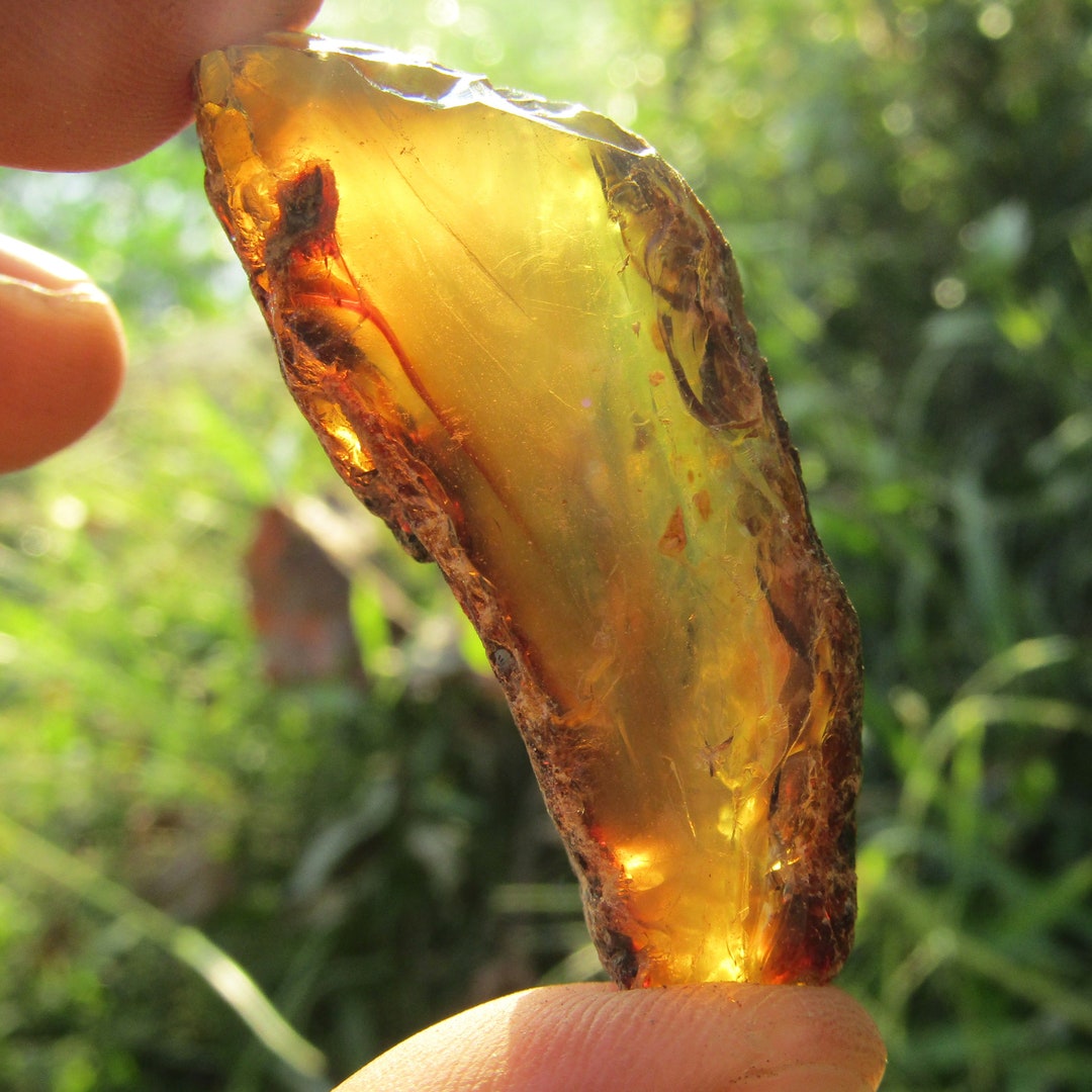 700 Gr mix 10gr-30grindonesian Sumatra Natural Amber Rough Specimen Raw ...