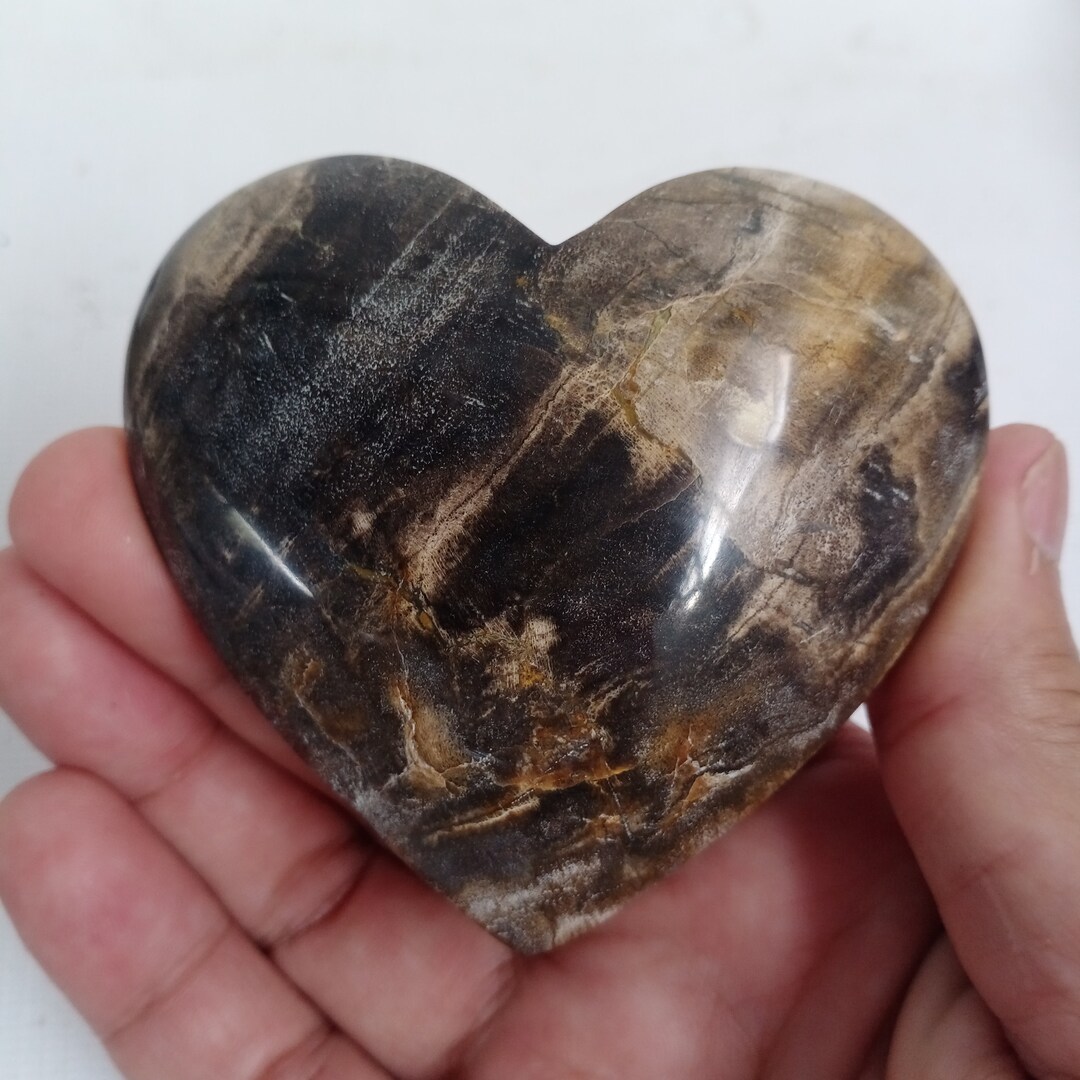 242 Gr Natural Petrified Wood Stone Quartz Crystal Heart Reiki Healing ...