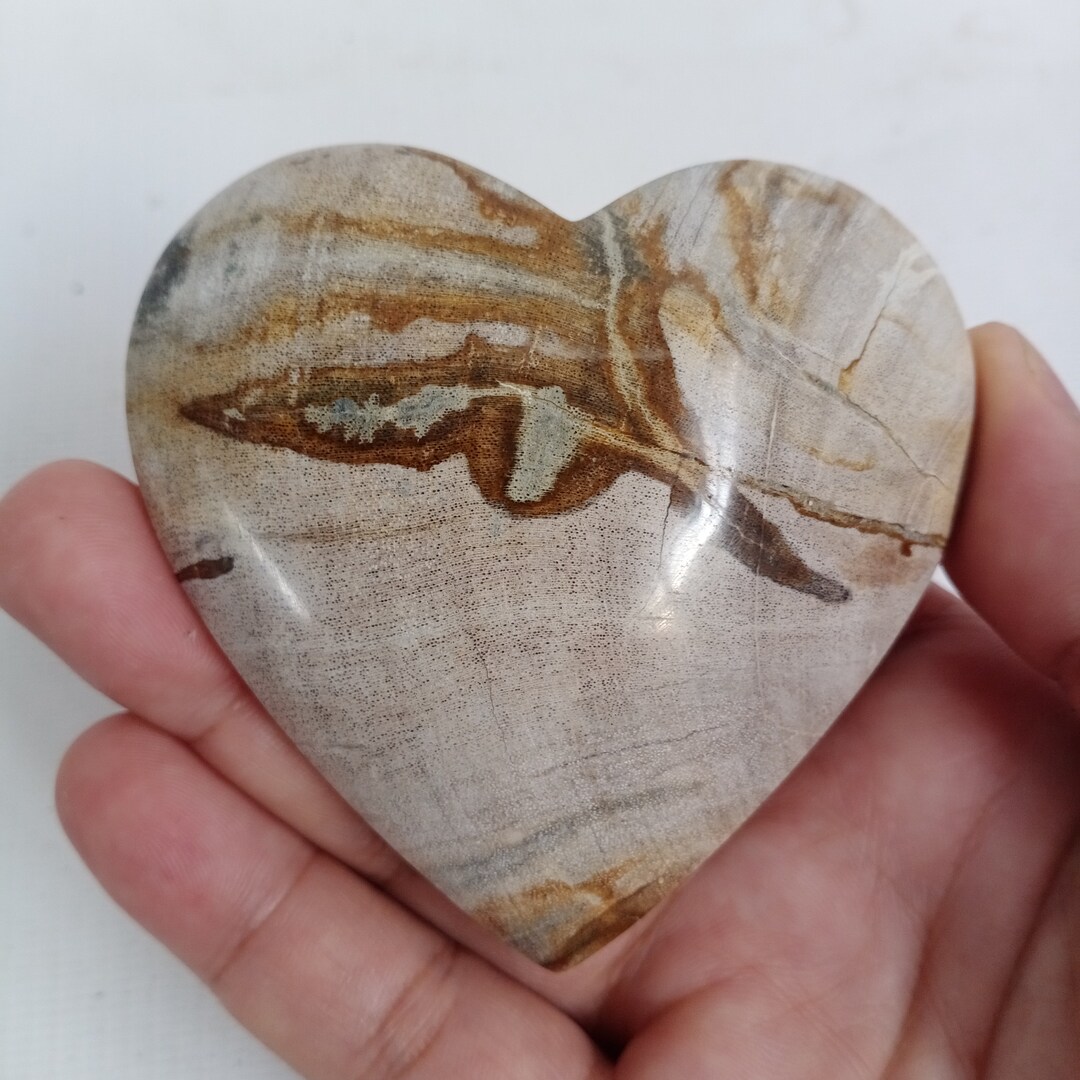 212 Gr Natural Petrified Wood Stone Quartz Crystal Heart Reiki Healing ...