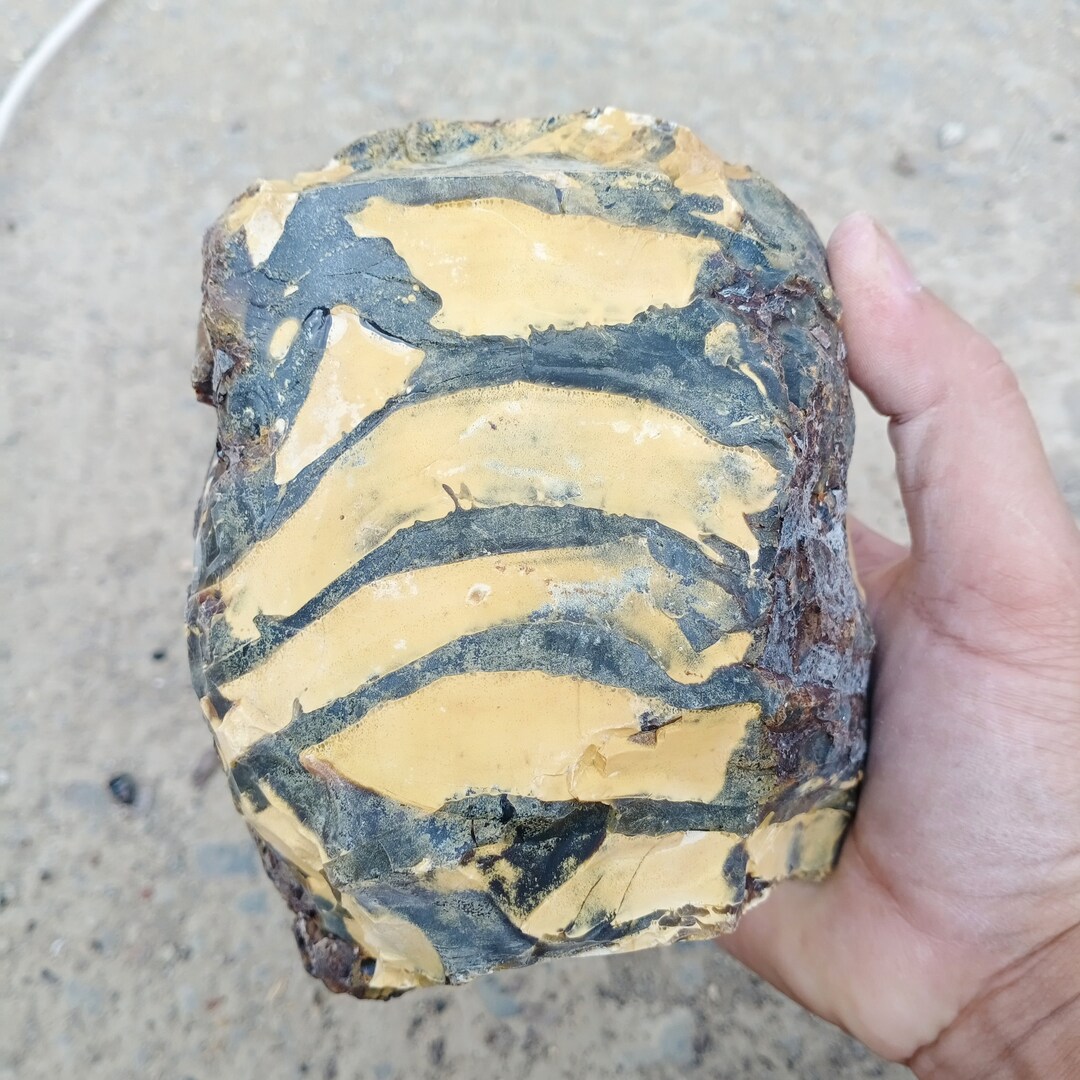 972 GR Indonesia Sumatra Amber Brown/white/black Rought Raw Stone Gemstone,a45 - Etsy