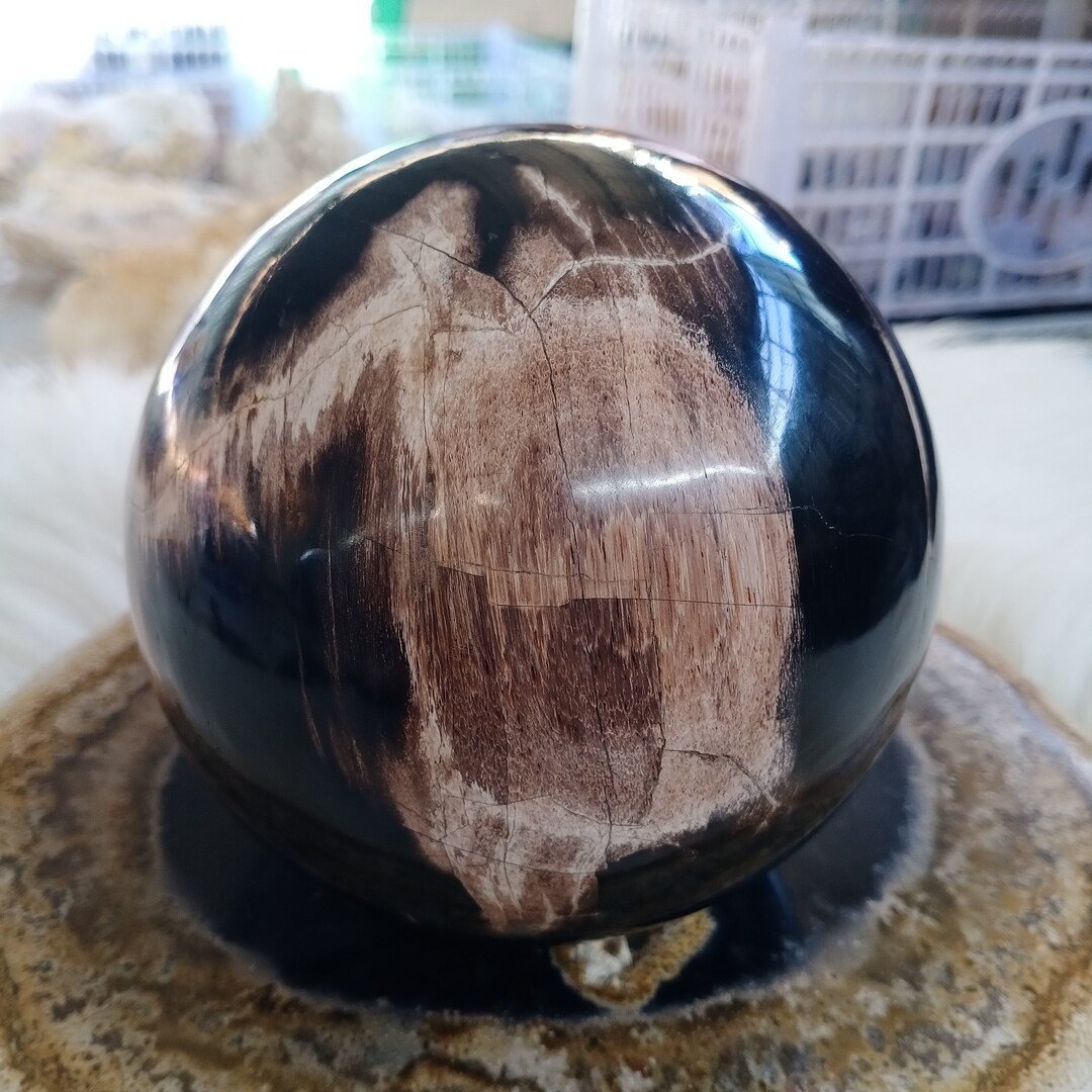 1680 Gr 110 Mm Natural Petrified Palm Root Agate Stone Quartz - Etsy