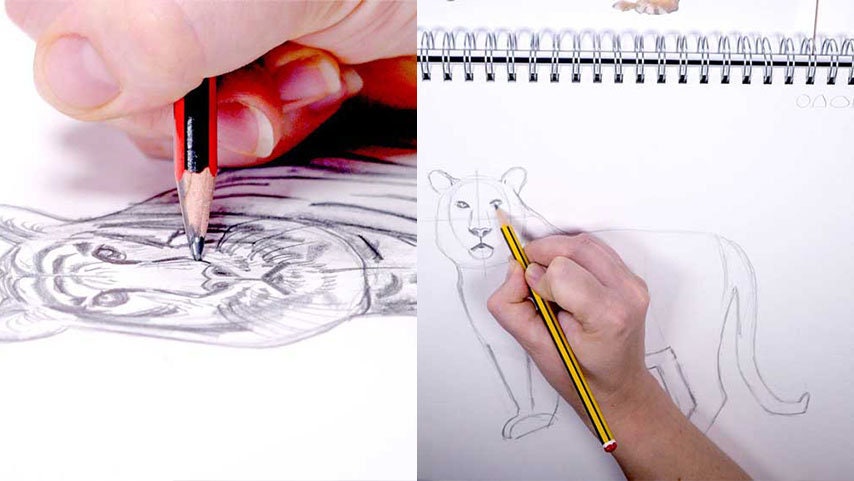 How to Draw for Absolute Beginners - Online Course Tutorial - Learn ...