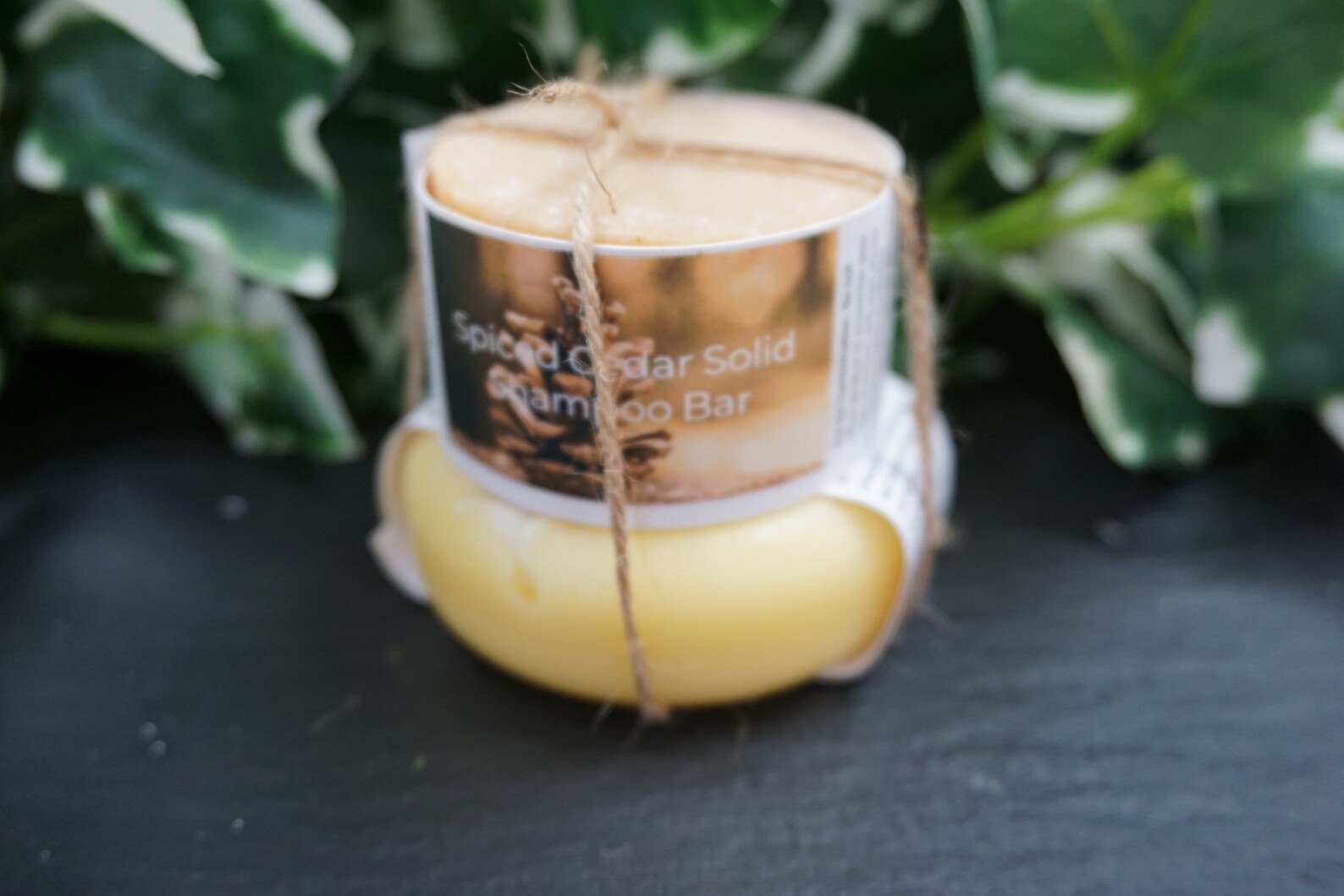 Spiced Cedar Shampoo and Conditioner Bar set Vegan Zero | Etsy