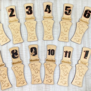 Duck Call Baby Month Milestone Markers, Duck Call Month Markers, Duck ...