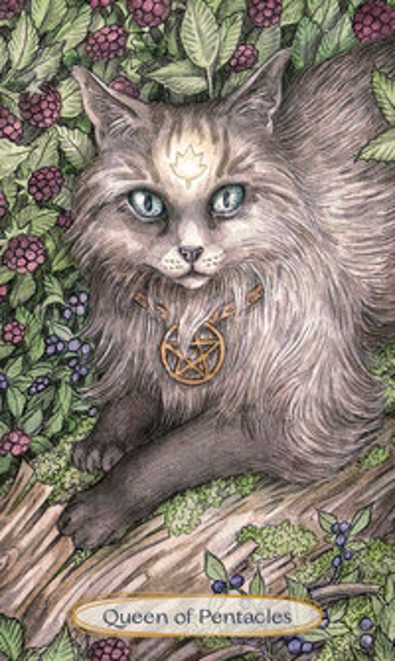 Soul Cats Tarot-cats as Spiritual Guides-feline Divination - Etsy