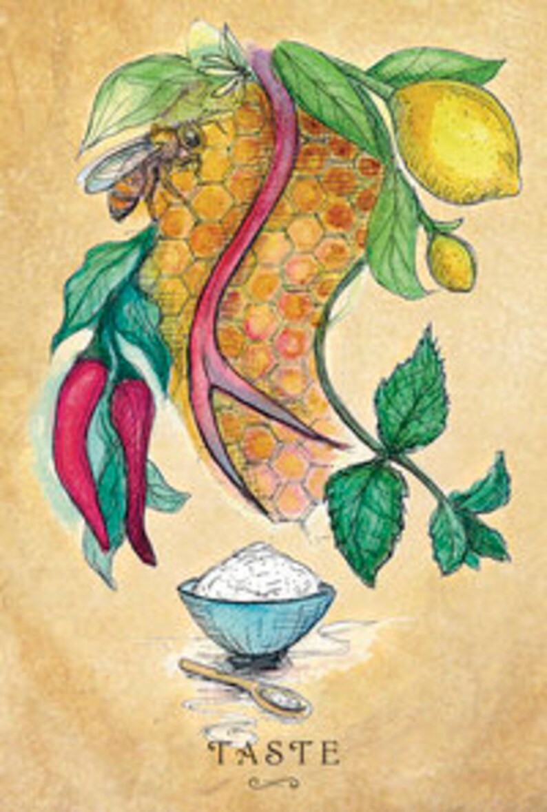 Anatomy of a Witch Oracle-witchcraft Oracles-magickal-pagan - Etsy