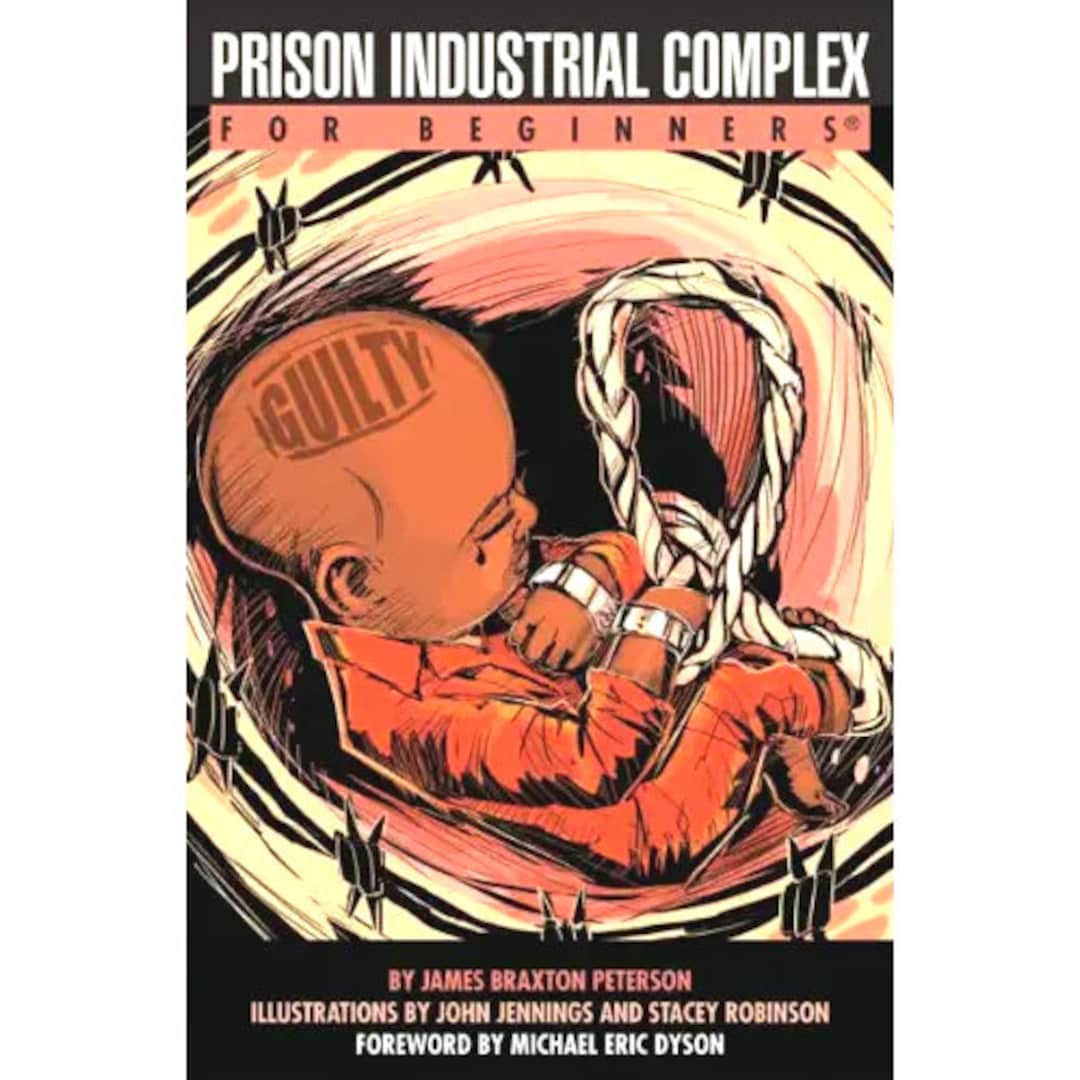 Prison Industrial Complex for Beginners Mass Incarceration Movement Law ...