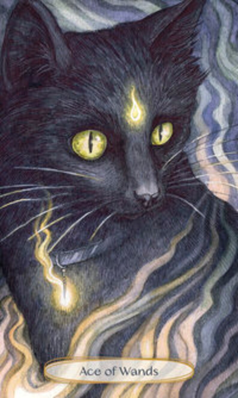 Soul Cats Tarot-cats as Spiritual Guides-feline Divination - Etsy