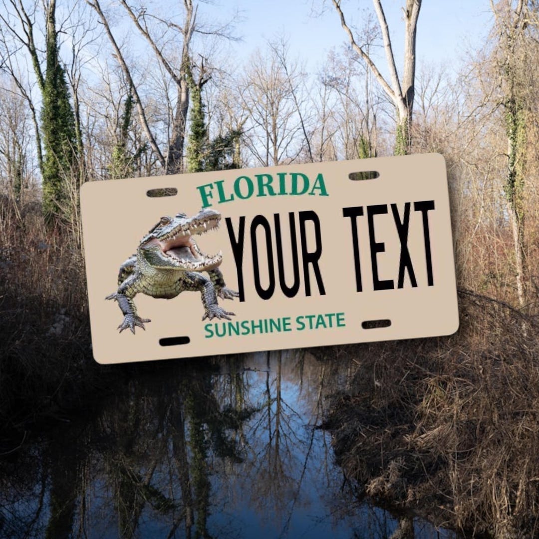 Florida State Plate - Gator Personalized Custom Car Tag - Kids Bike ...