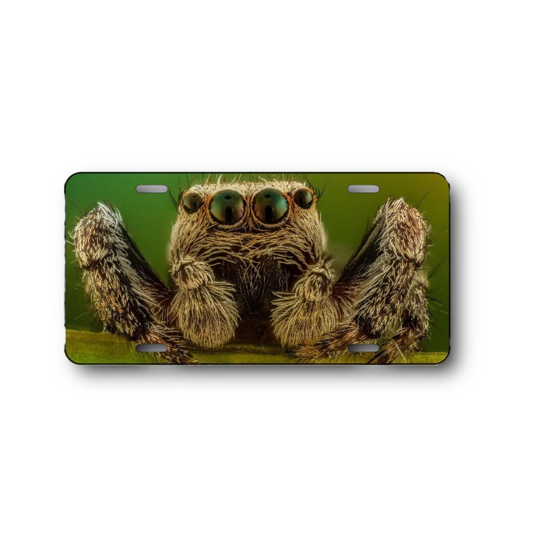 Spider License Plate - Hairy Scary Arachnid Tarantula - Spooder Car Tag ...