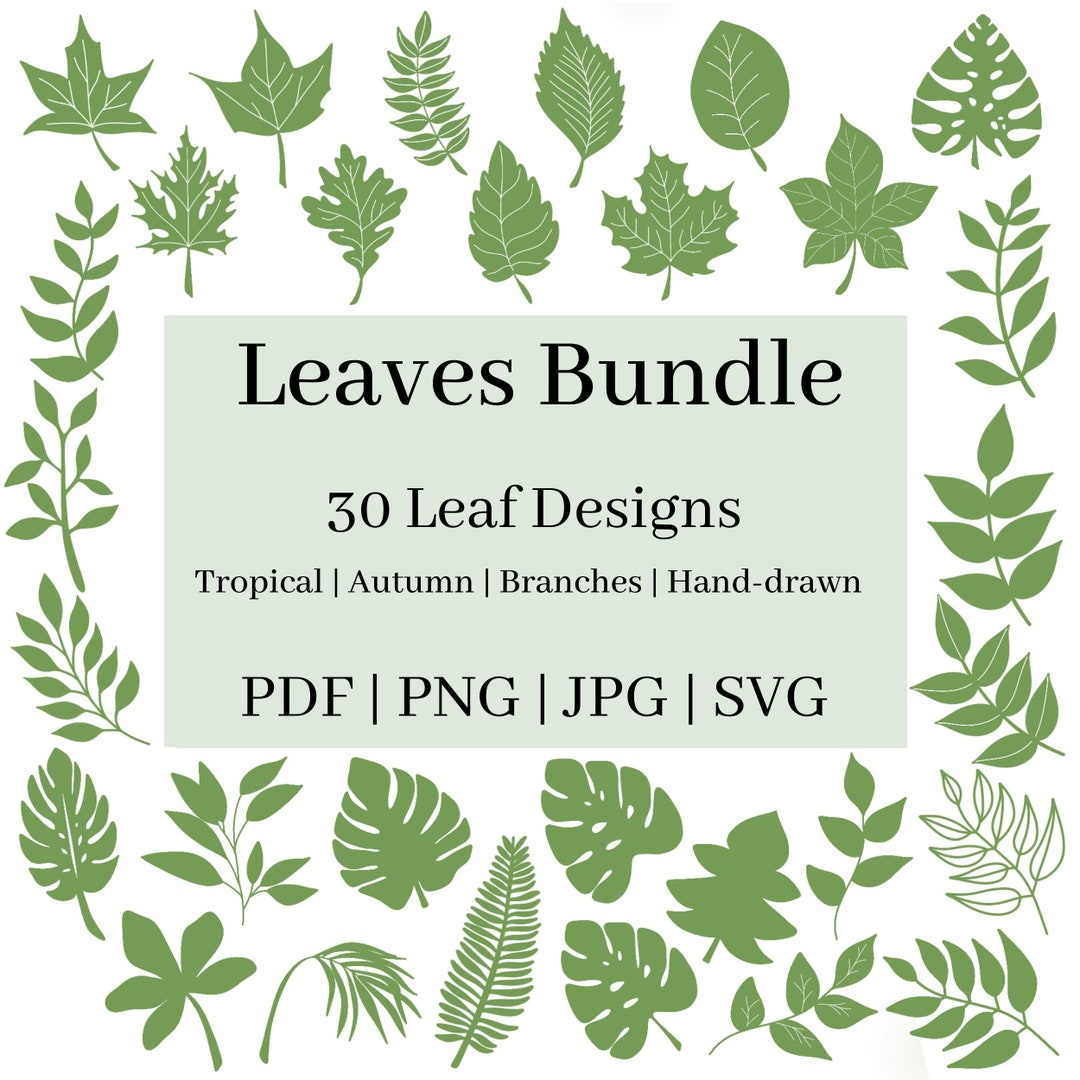 Leaves SVG / Leaves Clipart / Party Decor / 30 Leaf Designs / Leaves ...