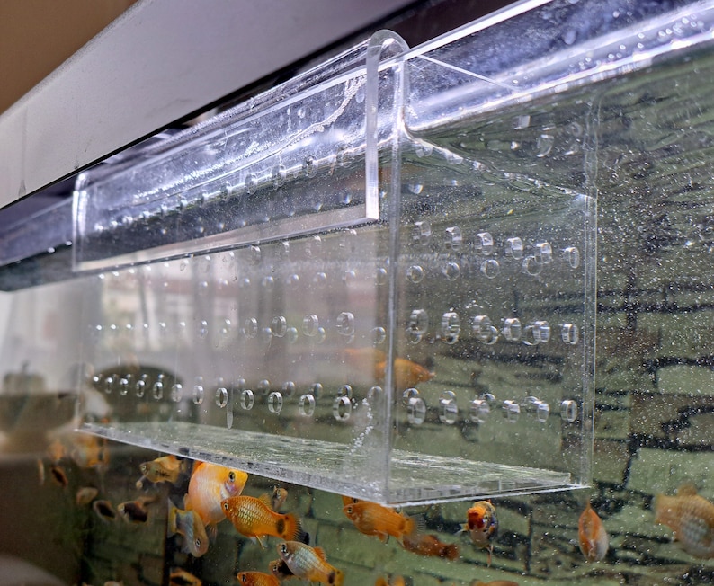 Acrylic Acclimation Tanks Isolation Breeding Box Aquarium Fish Tank ...