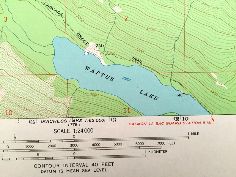 Antique Mount Daniel Washington 1965 US Geological Survey | Etsy
