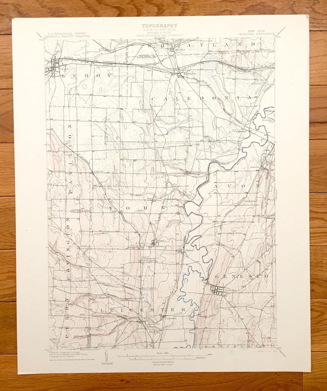 Antique Caledonia, New York 1904 US Geological Survey Topographic Map ...