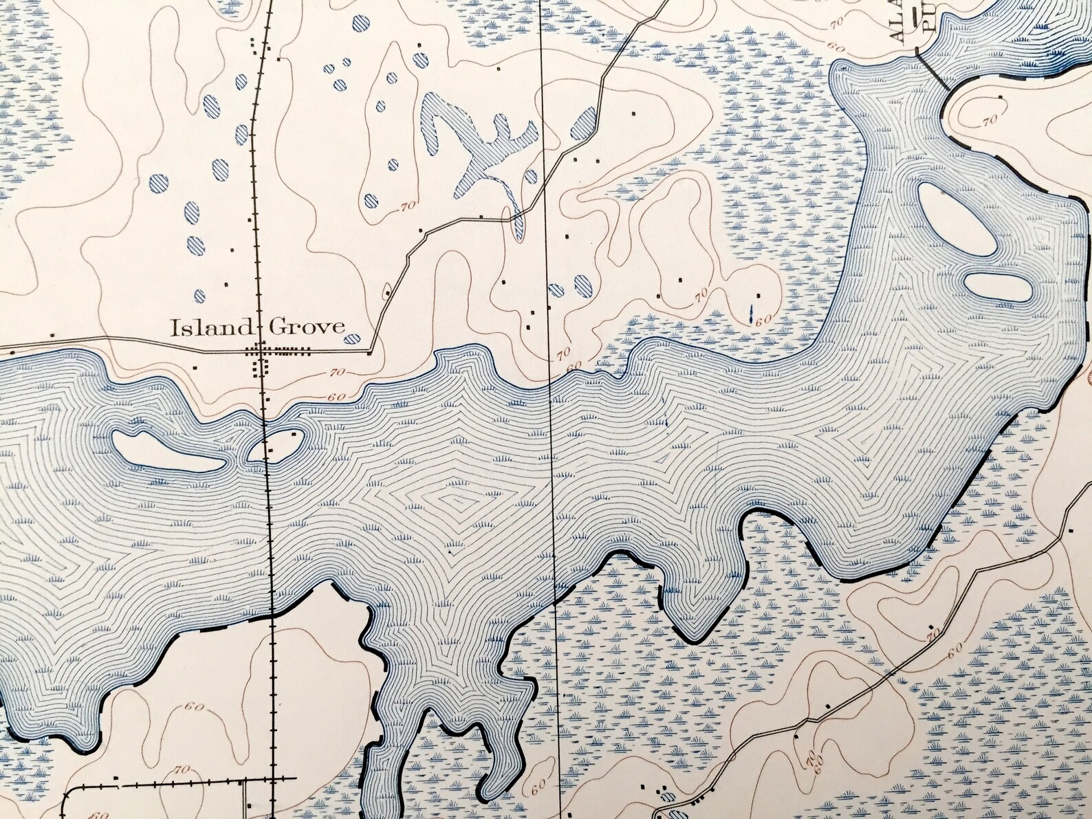 Antique Citra Florida 1893 US Geological Survey Topographic | Etsy