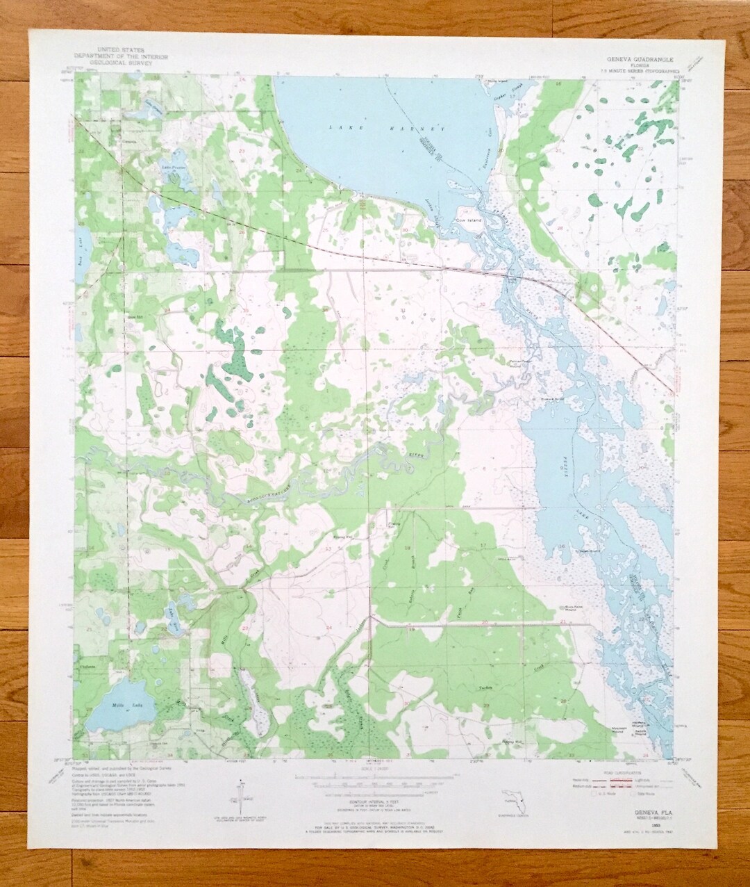 Antique Geneva, Florida 1953 US Geological Survey Topographic Map ...