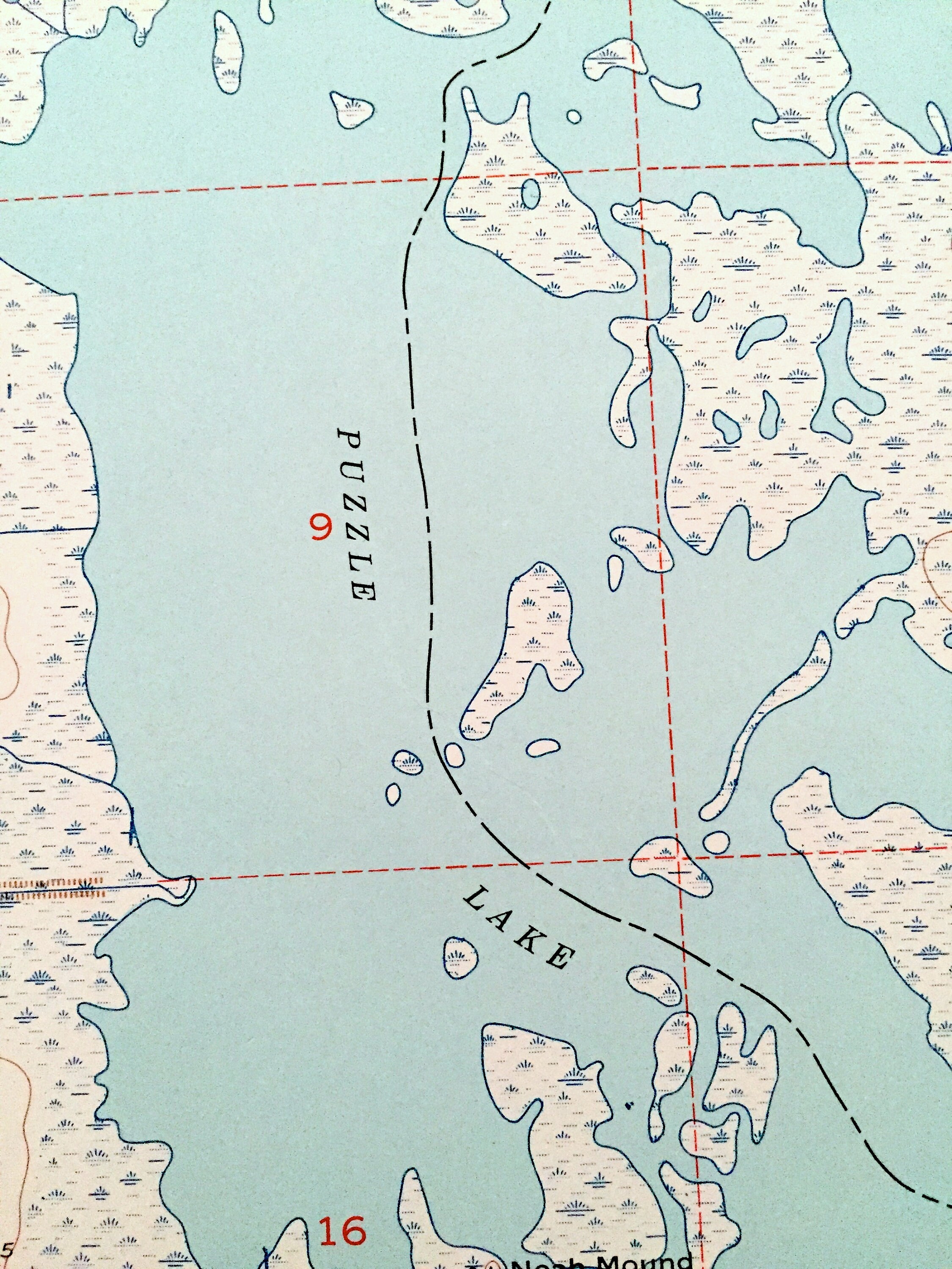 Antique Geneva Florida 1953 US Geological Survey Topographic - Etsy