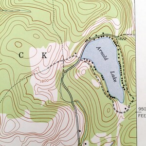 Antique Mt. Vision, New York 1943 US Geological Survey Topographic Map ...