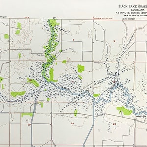 Antique Black Lake, Louisiana 1955 US Geological Survey Topographic Map ...