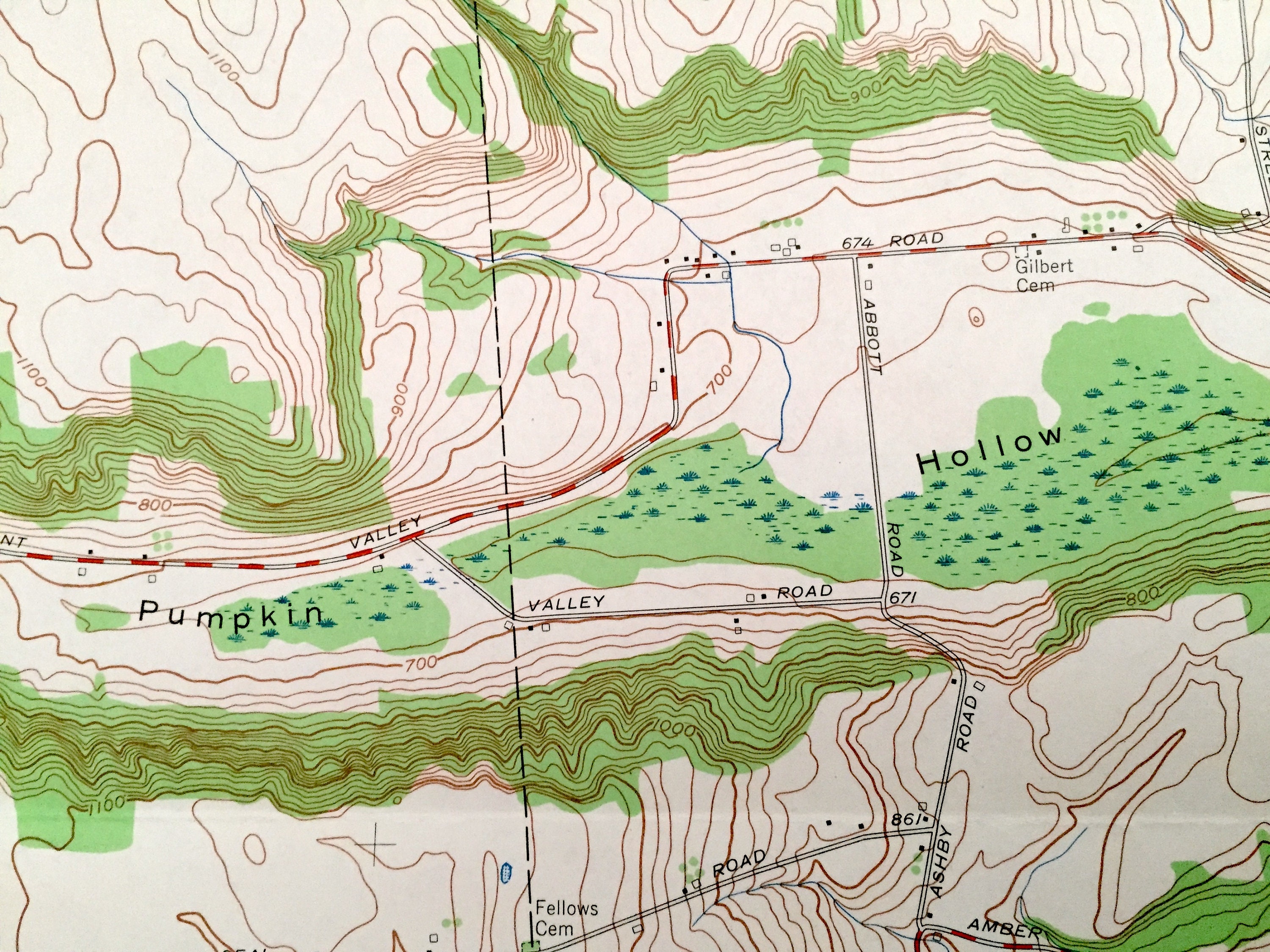 Antique Marcellus New York 1955 US Geological Survey | Etsy