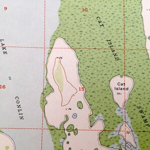 Antique Holopaw, Florida 1953 US Geological Survey Topographic Map ...
