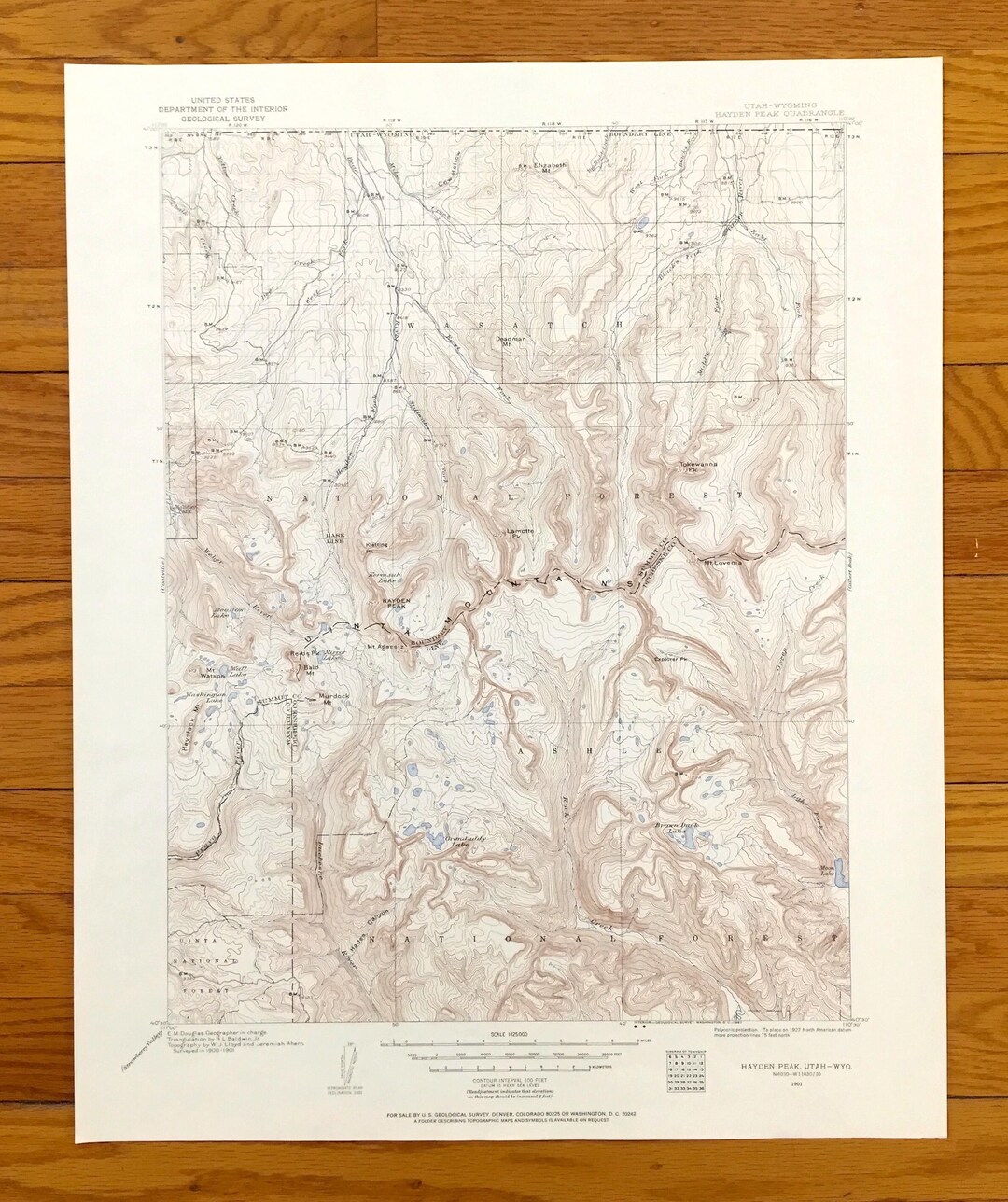 Antique Hayden Peak, Utah 1901 US Geological Survey Topographic Map ...