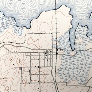 Antique Citra, Florida 1893 US Geological Survey Topographic Map ...