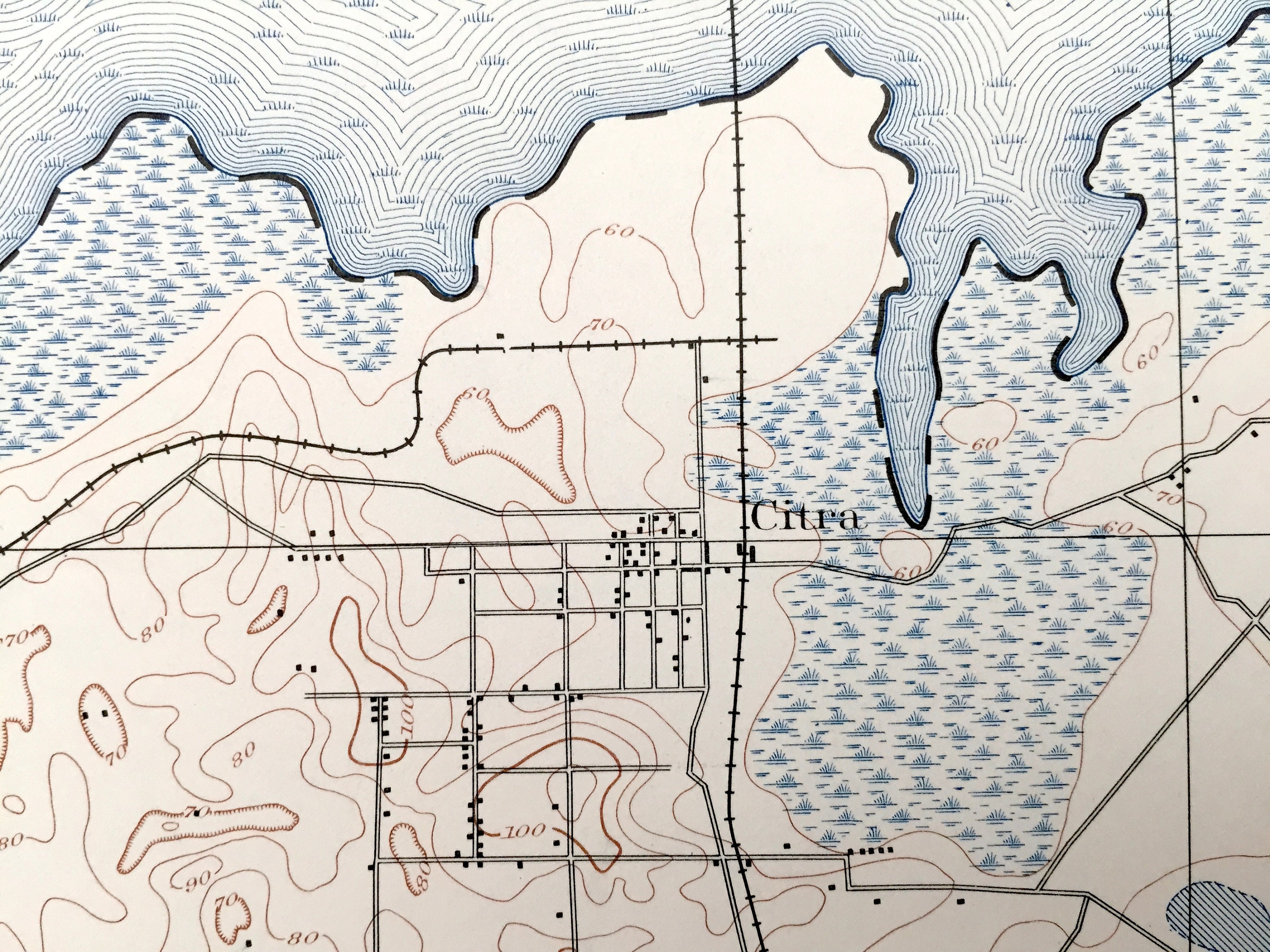 Antique Citra Florida 1893 US Geological Survey Topographic | Etsy