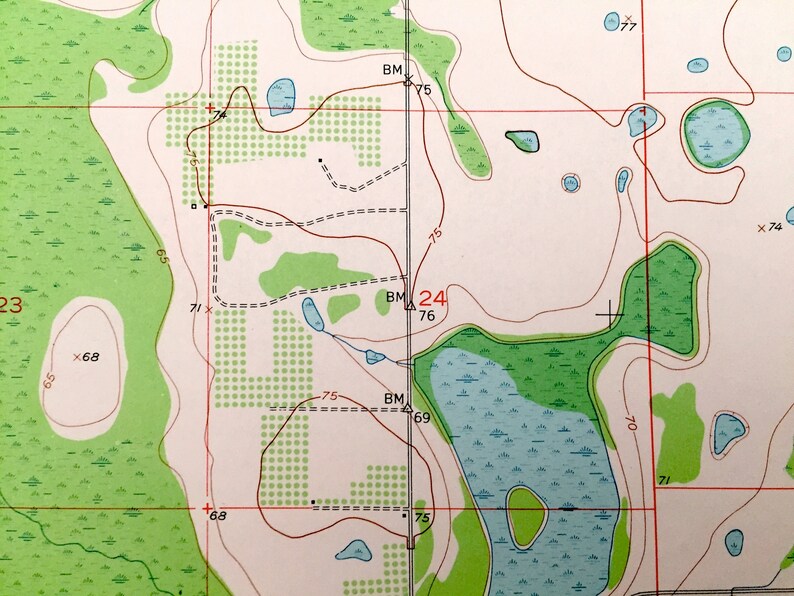 Antique Lake Tohopekaliga, Florida 1953 US Geological Survey ...