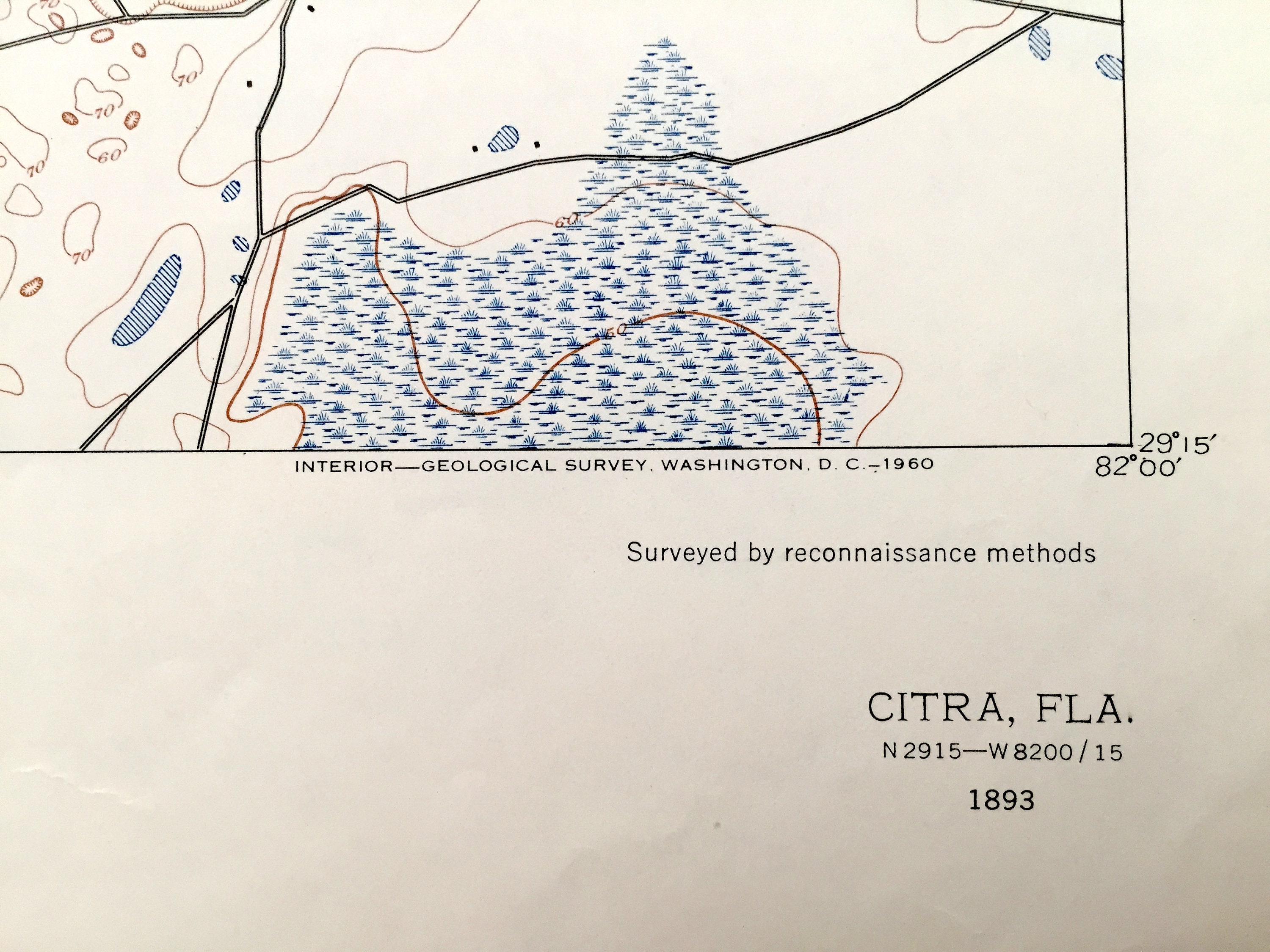 Antique Citra Florida 1893 US Geological Survey Topographic | Etsy