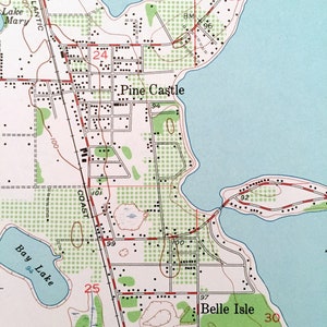 Antique Pine Castle, Florida 1953 US Geological Survey Topographic Map ...