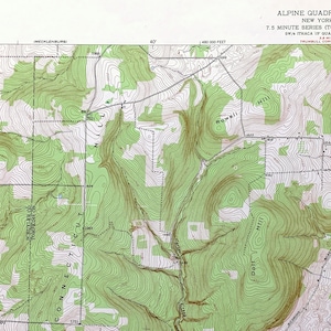 Antique Alpine, New York 1950 US Geological Survey Topographic Map ...