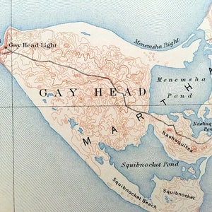 Antique Marthas Vineyard, Massachusetts 1893 US Geological Survey ...