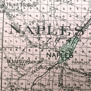 Antique Ontario County, New York 1911 New Century Atlas Map ...