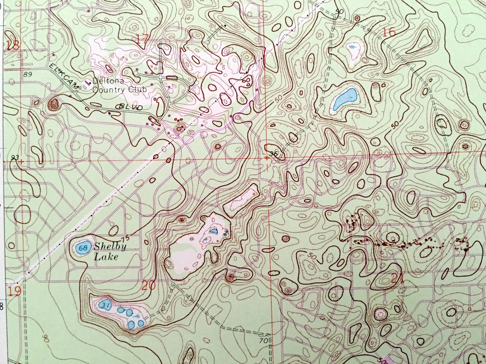 Antique Lake Helen, Florida 1966 US Geological Survey Topographic Map ...