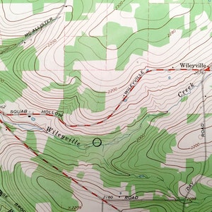 Antique Rexville, New York 1965 US Geological Survey Topographic Map ...