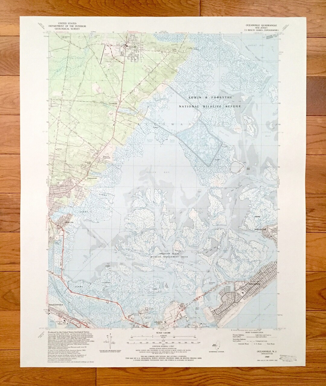 Antique Brigantine, New Jersey 1989 US Geological Survey Topographic ...
