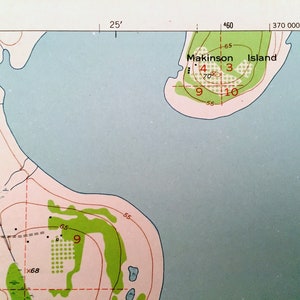 Antique Lake Tohopekaliga, Florida 1953 US Geological Survey ...