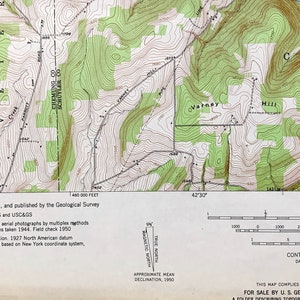 Antique Alpine, New York 1950 US Geological Survey Topographic Map ...