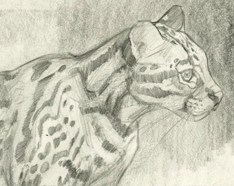 Ocelot Drawing | ORIGINAL Artwork | Hand Drawn | 8"x10" Pastel Artwork ...