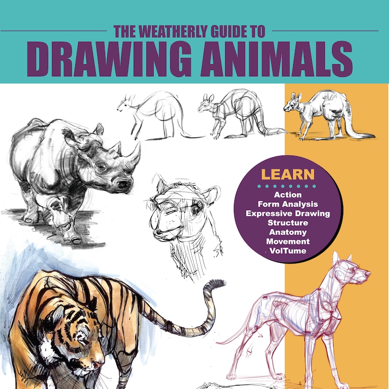 Animal Drawing - Etsy