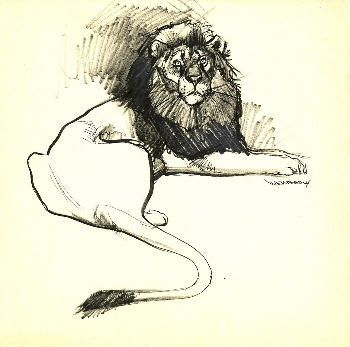 Reclining Lion ORIGINAL DRAWING - Etsy
