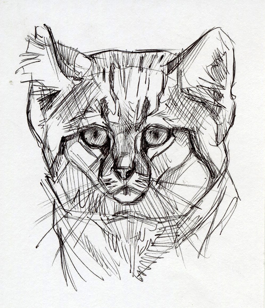 Sand Cat ORIGINAL DRAWING - Etsy