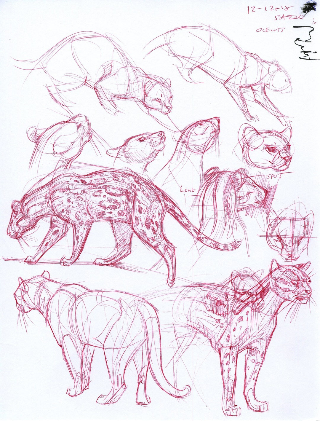 Ocelots ORIGINAL DRAWING - Etsy